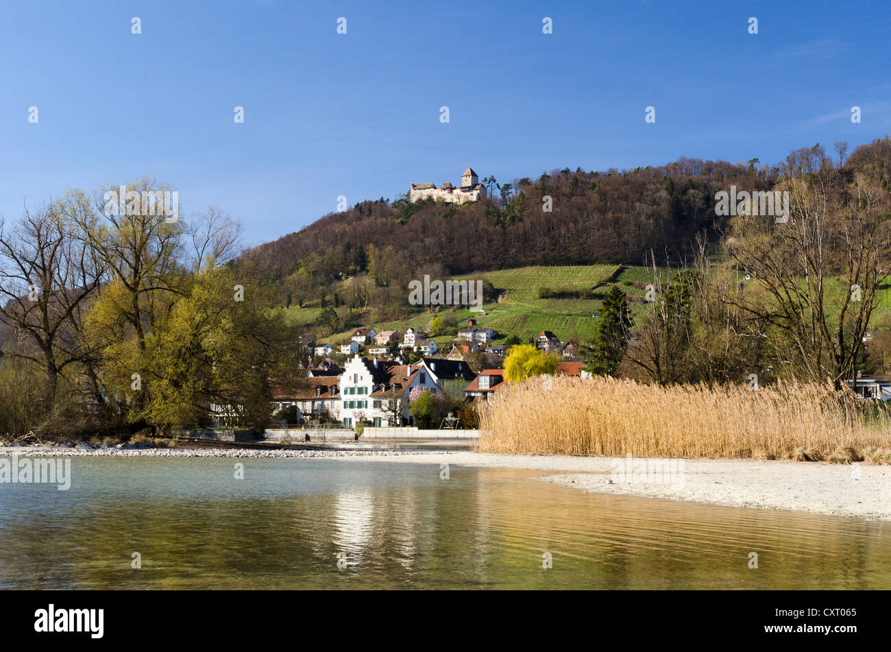 View as seen from Werd island across the Rhine river at low water, the ...