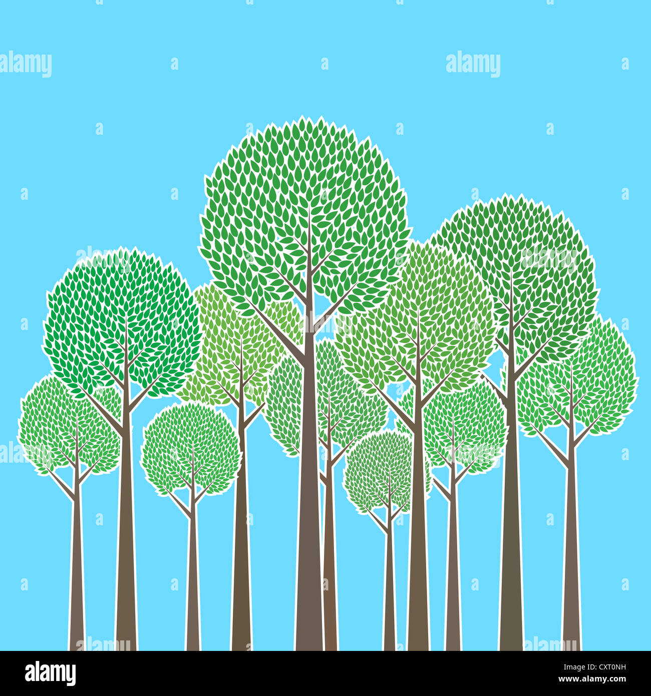 Tree trees plant hi-res stock photography and images - Alamy