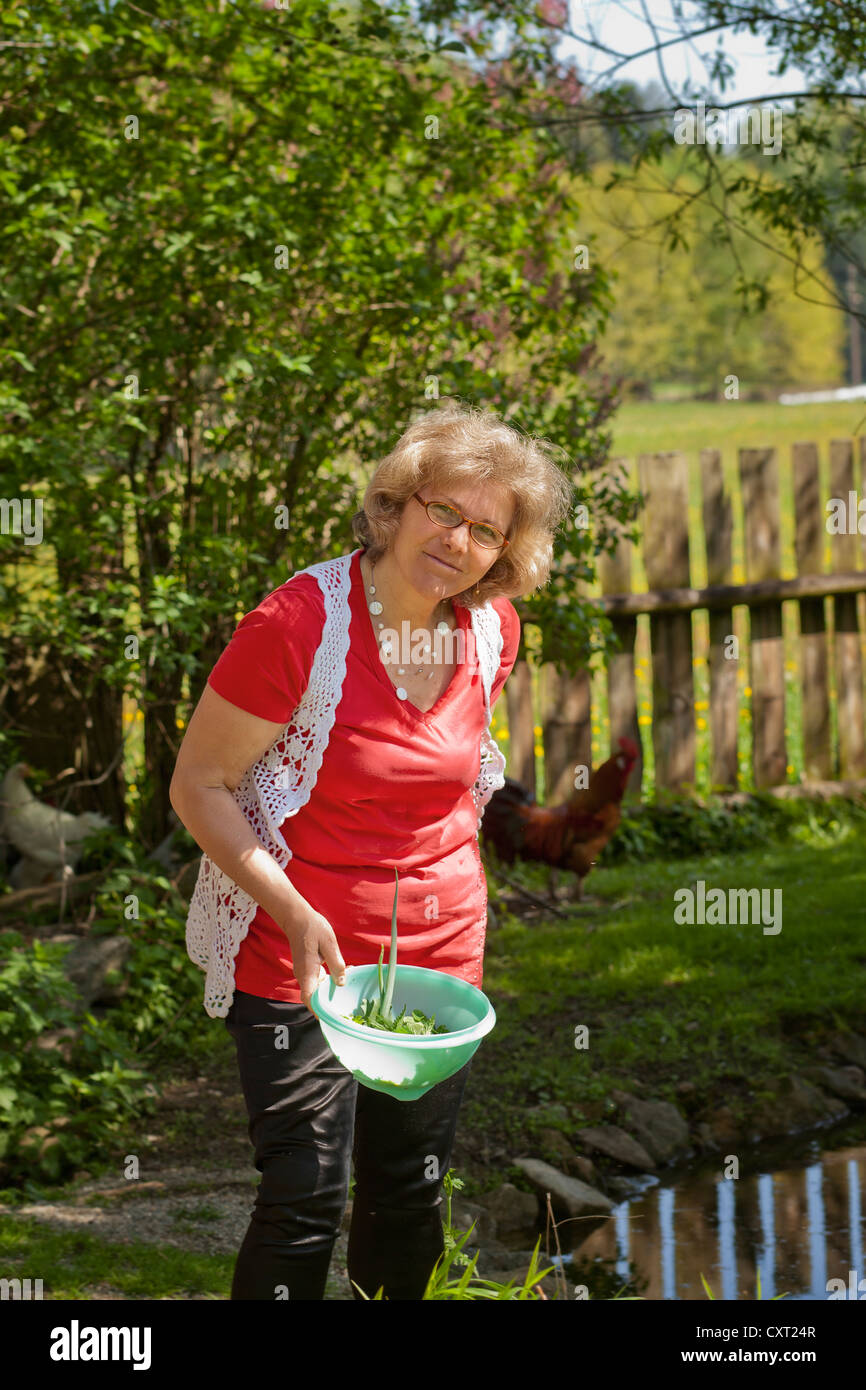 Woman collecting herbs Stock Photo - Alamy