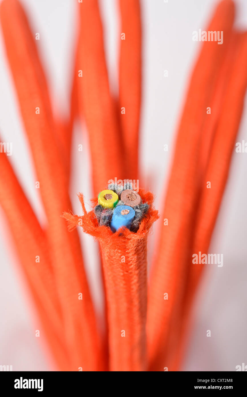 Stranded wire hi-res stock photography and images - Alamy