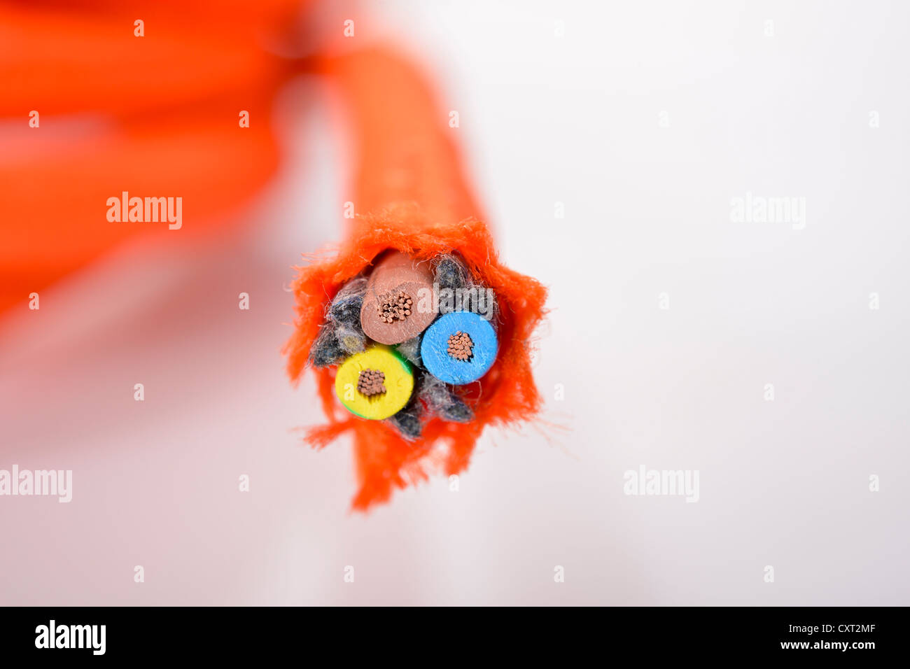 3-stranded cable, electrical cable with orange coating Stock Photo - Alamy