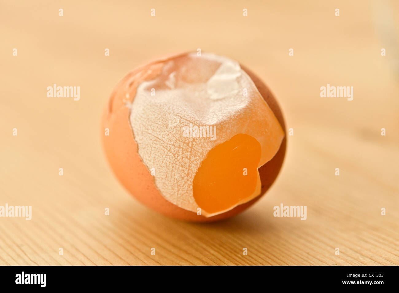 Egg with partially removed outer shell Stock Photo - Alamy