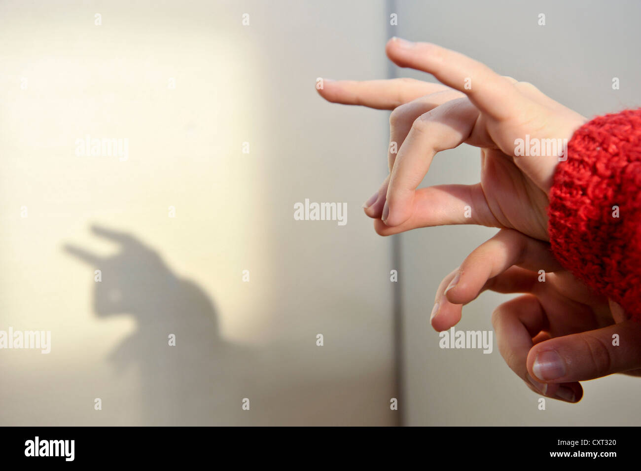 Hands creating shadows Stock Photo - Alamy
