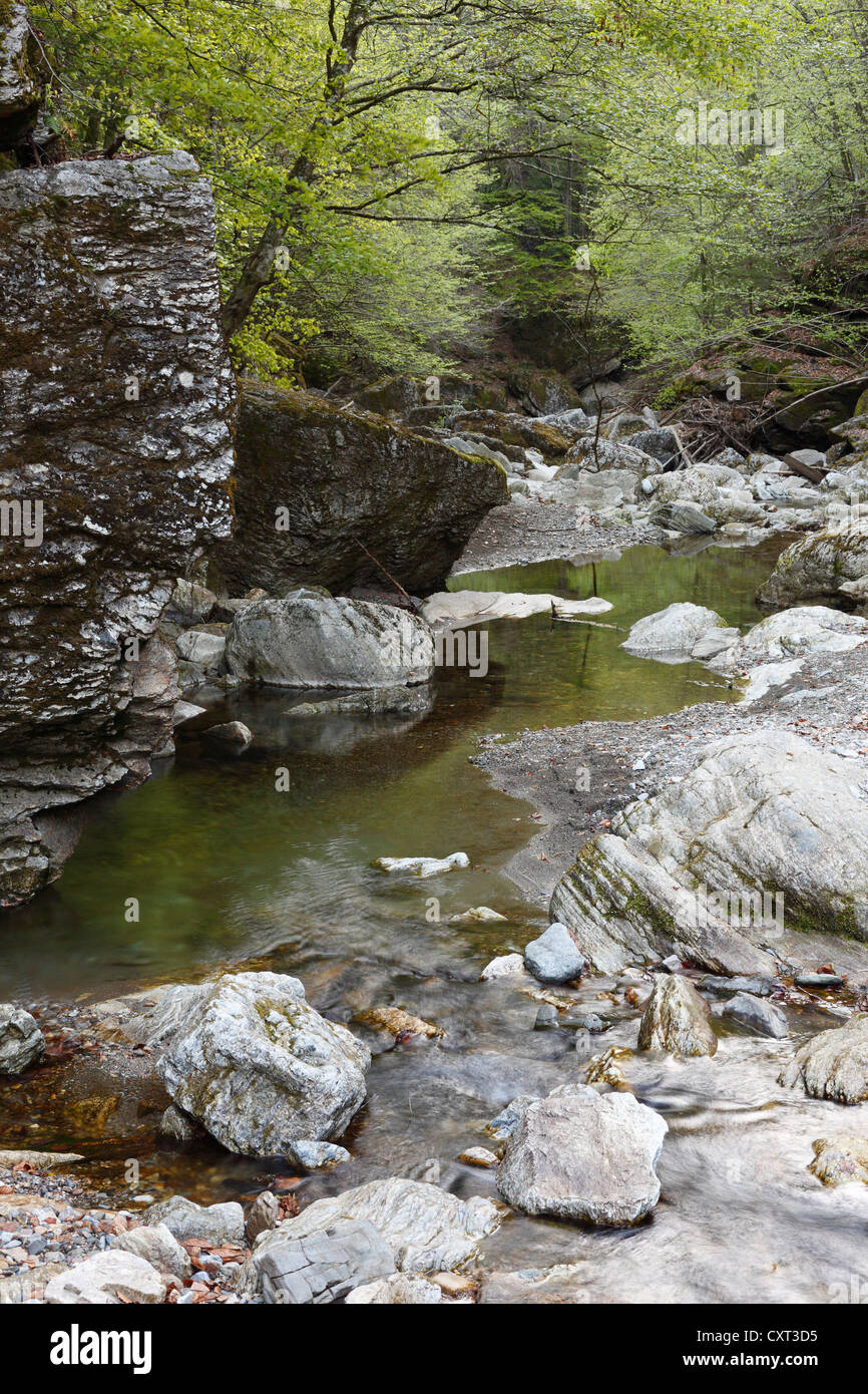 Raab river, Raabklamm gorge near Weiz, Styria, Austria, Europe Stock ...