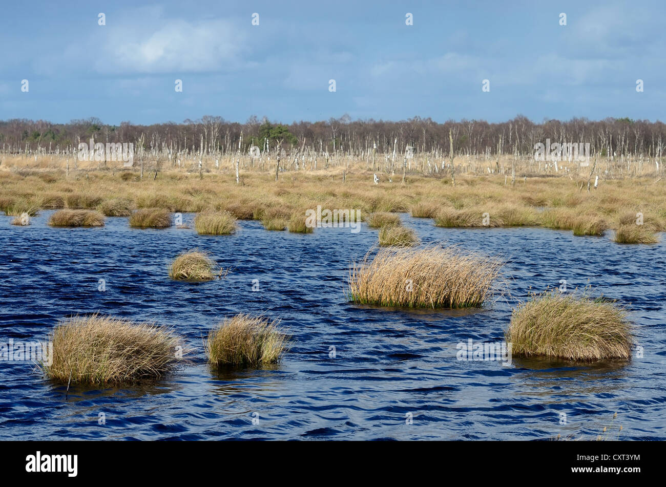 Upland and lowland hi-res stock photography and images - Alamy