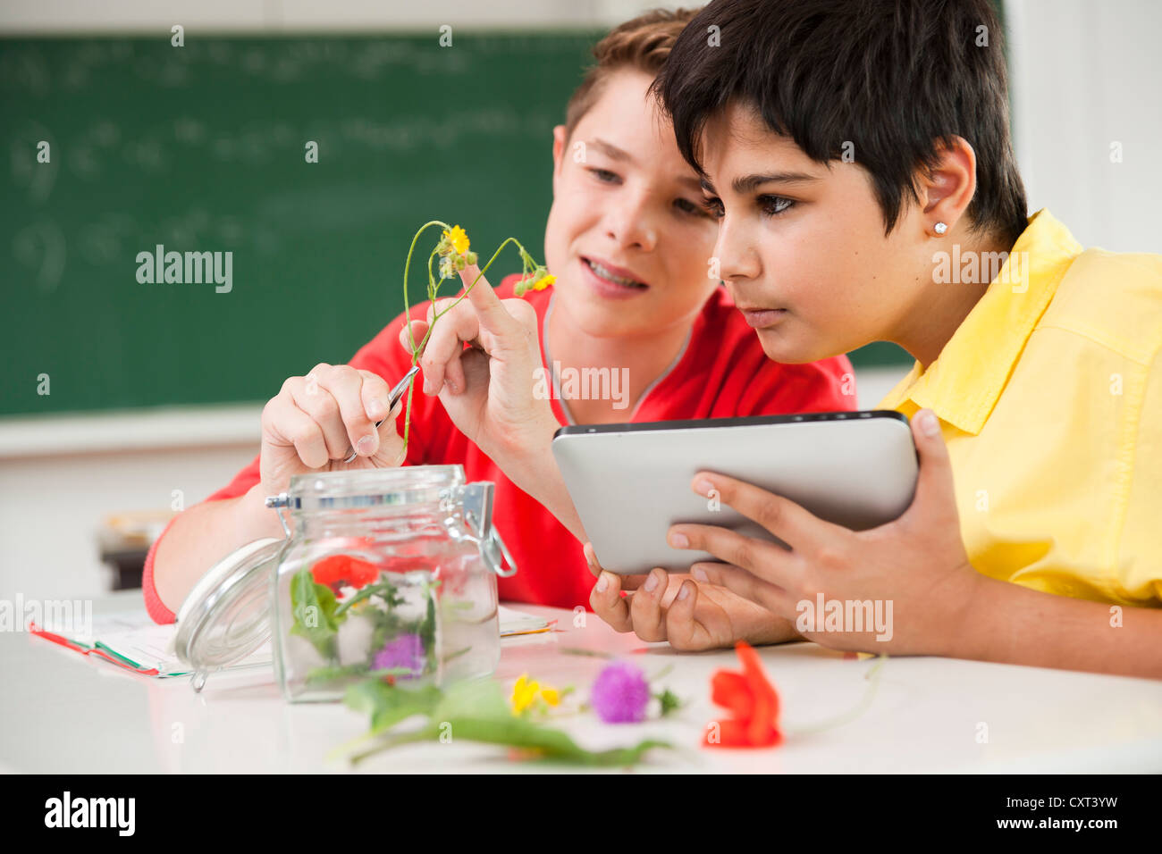 Schoolchildren studying plants during a biology lesson Stock Photo - Alamy