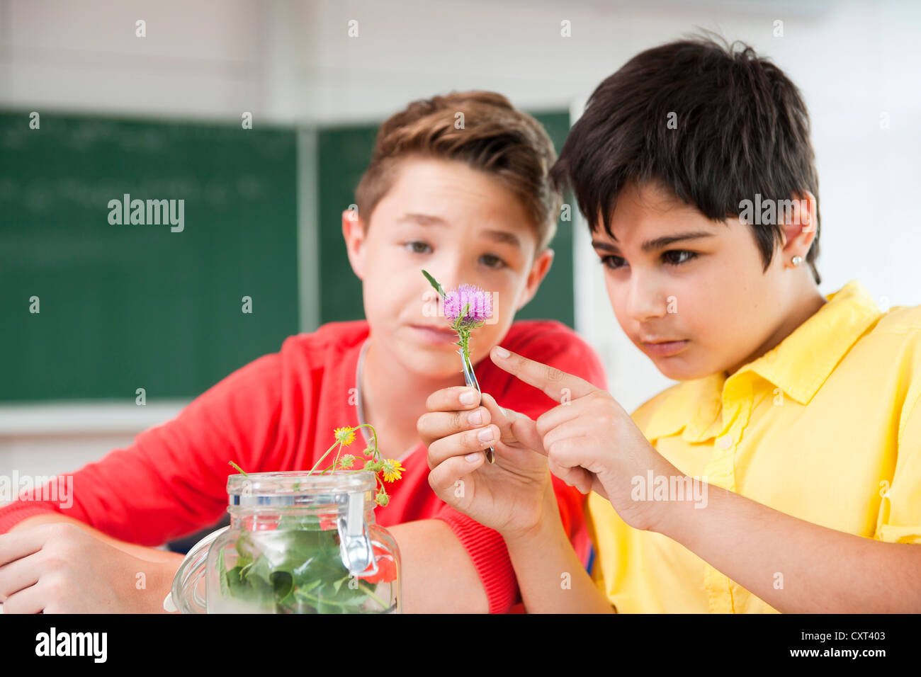 Schoolchildren studying plants during a biology lesson Stock Photo - Alamy