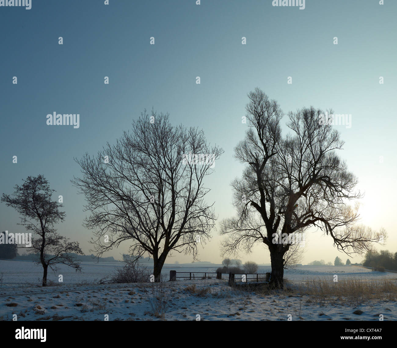 Bridge with trees in winter, near Mering, Bavaria, Germany, Europe ...