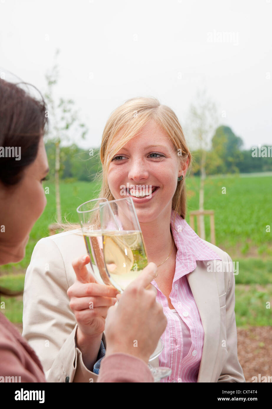 Chinking hi-res stock photography and images - Alamy