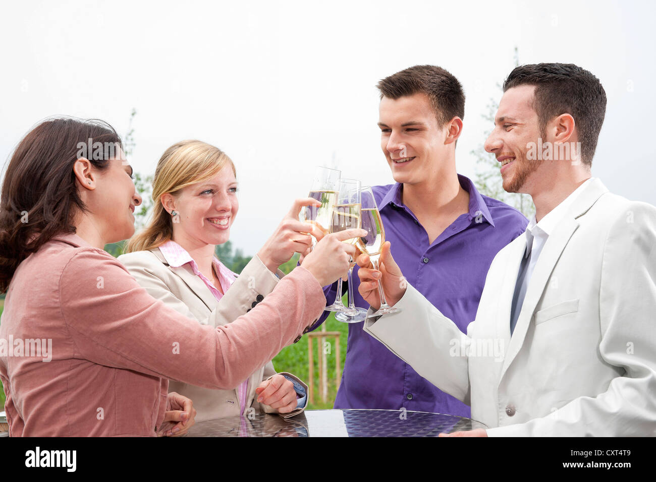Group friends clinks glasses hi-res stock photography and images - Alamy