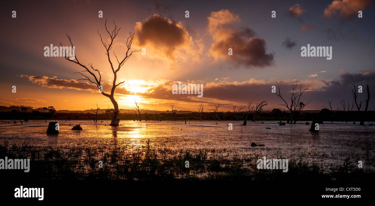 Gorgeous sunset over the wetlands Stock Photo - Alamy