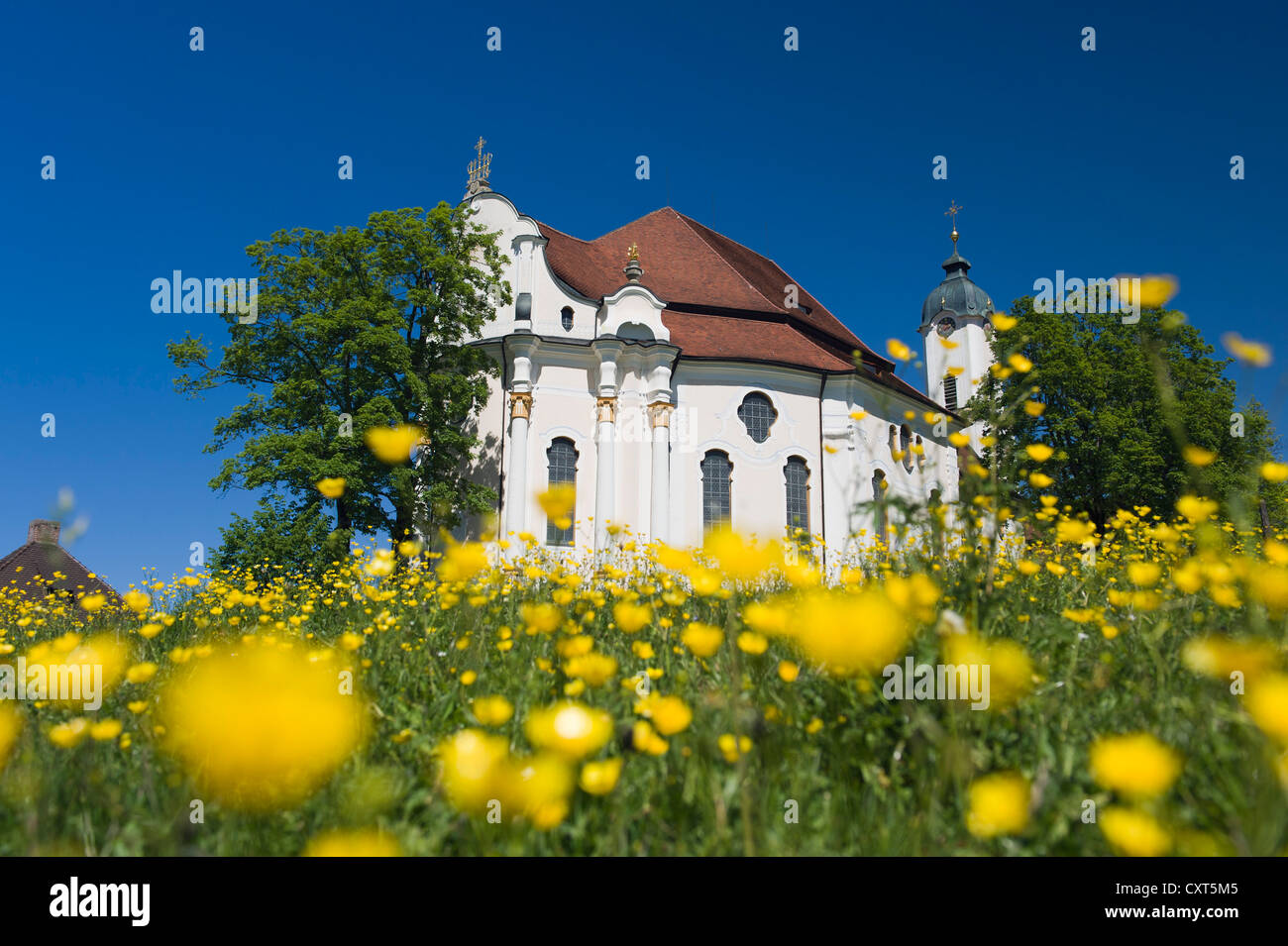 Wieskirche, Pilgrimage Church of Wies, rococo church, spring meadow ...