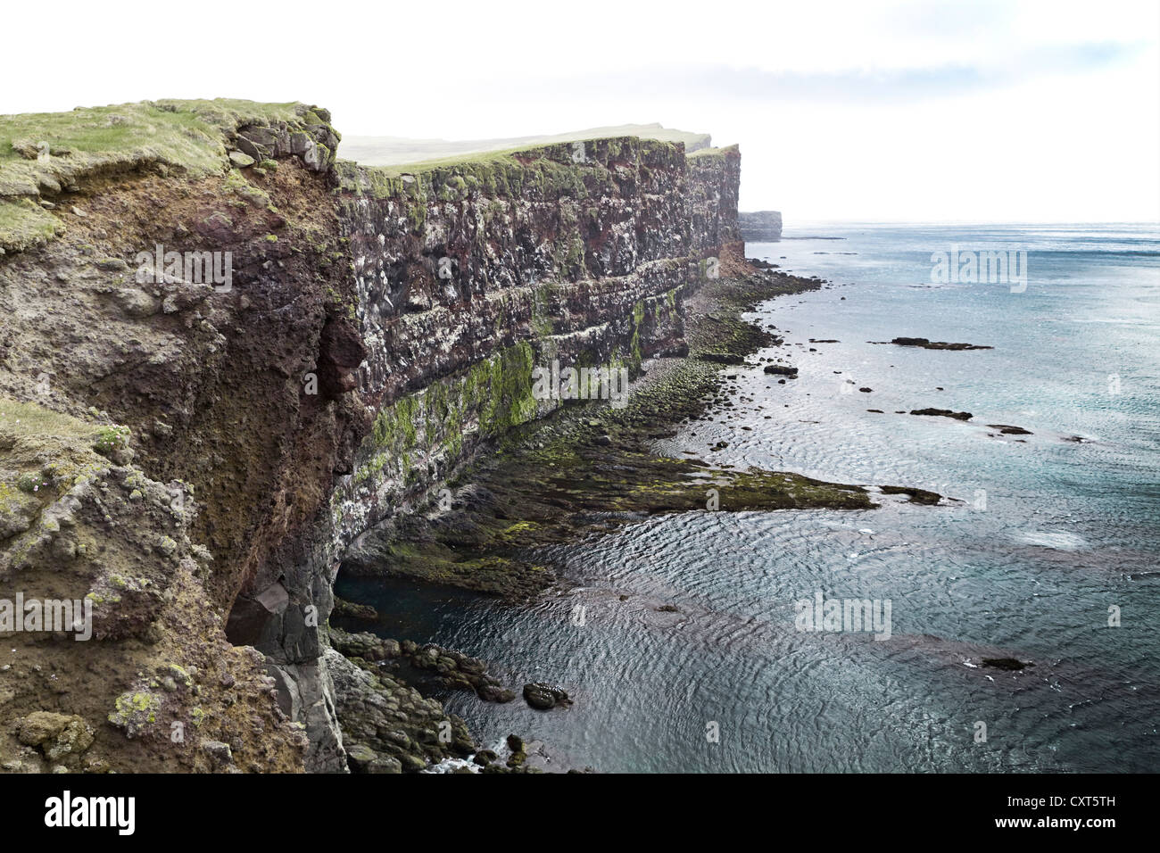 Cliffs and sea on the coast of Látrabjarg, Lautrabag, famous bird rocks ...