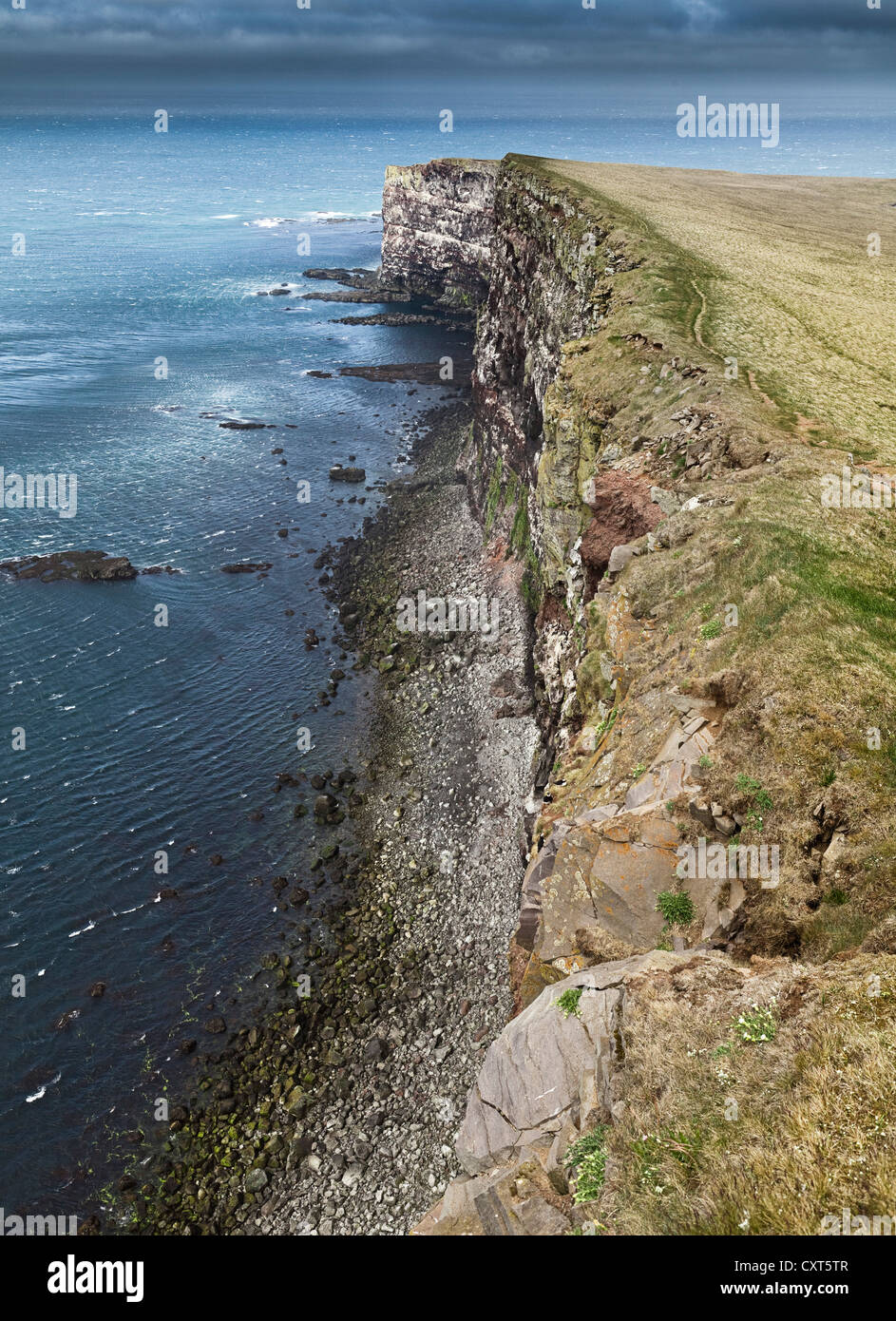 Cliffs and sea on the coast of Látrabjarg, Lautrabag, famous bird rocks ...