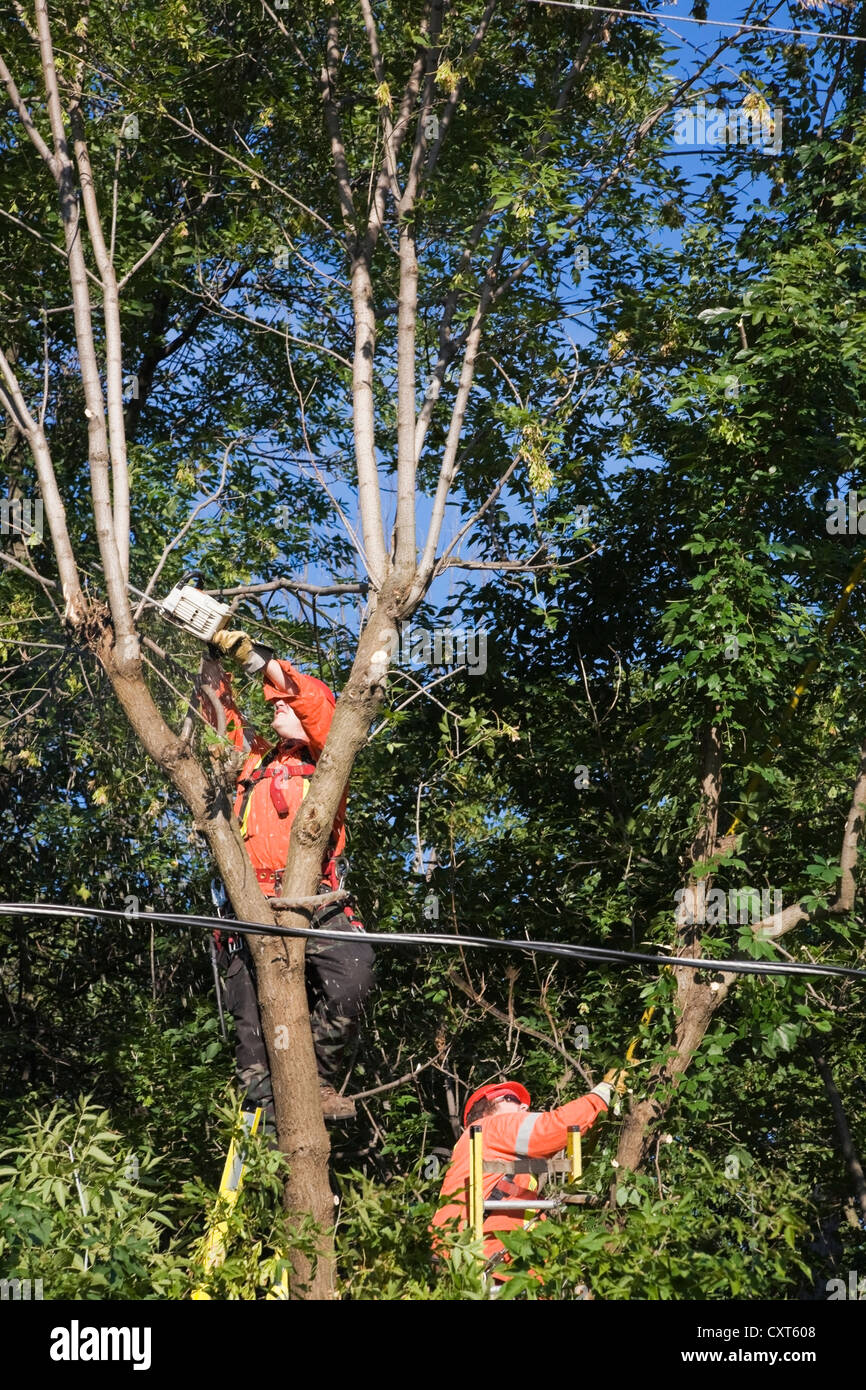 Contractors hi-res stock photography and images - Alamy