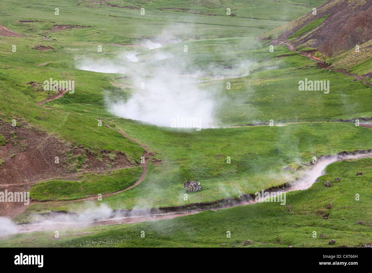 Hot springs in the Hveragerdi geothermal area, Hveragerdi valley ...