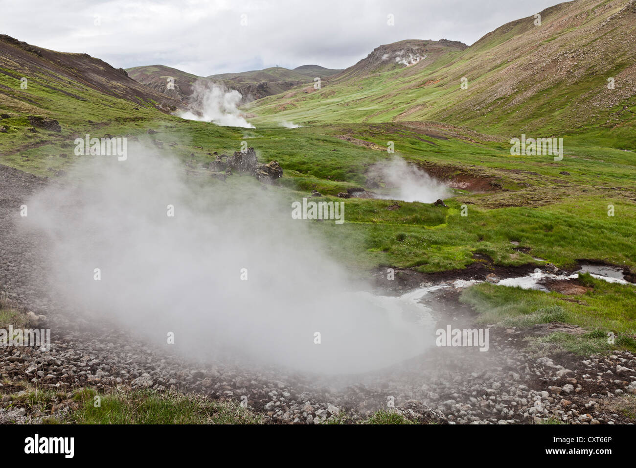 Hot springs in the Hveragerdi geothermal area, Hveragerdi valley ...