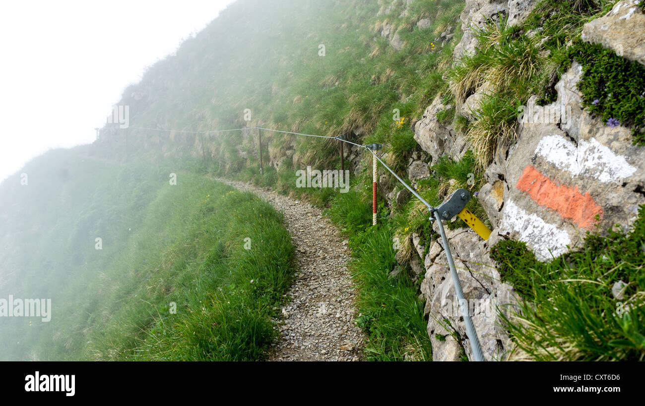 Mountain trail at Mt Schaeffler in the Alpstein range, Canton of St ...