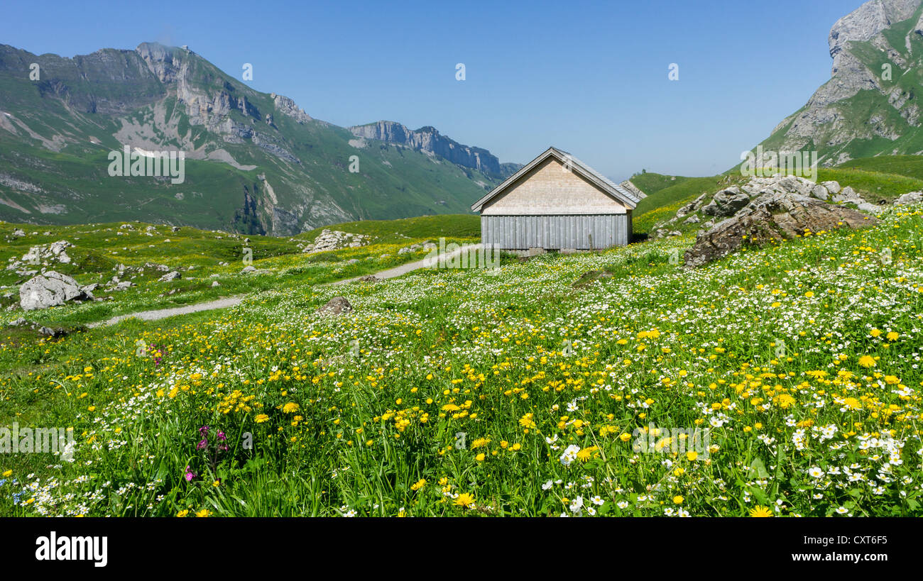 Mountain hut at Meglisalp mountain pasture, Alpstein range, Canton of ...