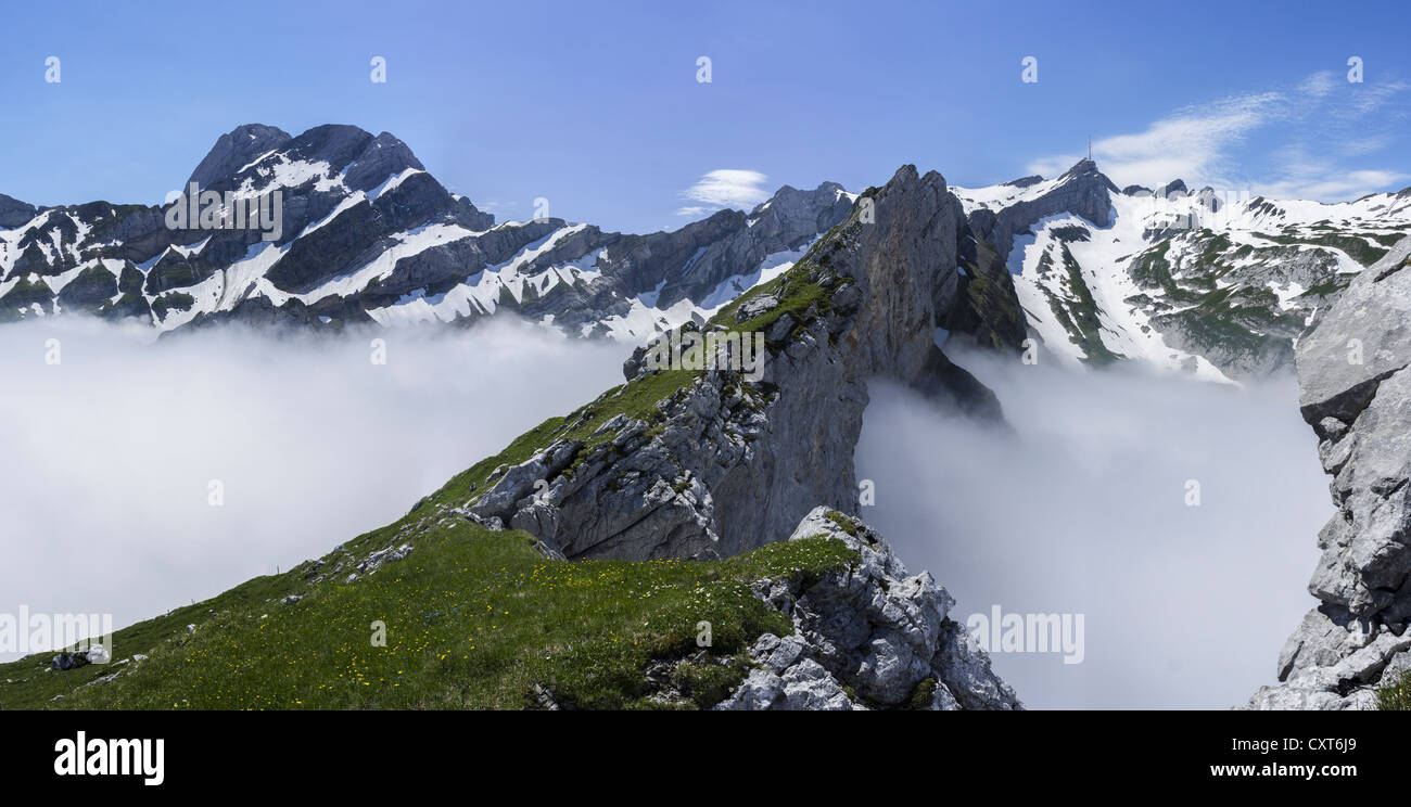 View from Ageteplatte towards mountains Saentis and Altmann, Alpstein ...