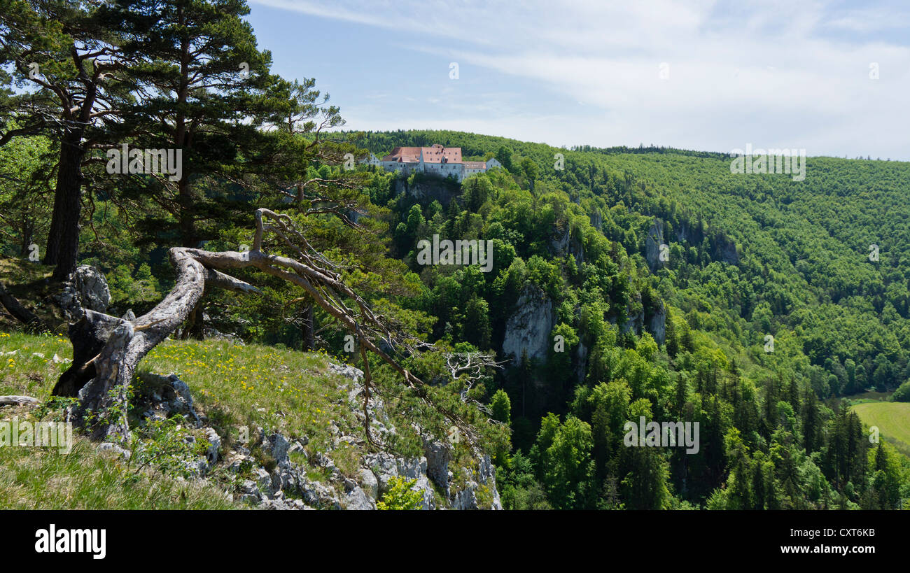 Burg Wildenstein Castle, Upper Danube Nature Park, Upper Danube Valley ...