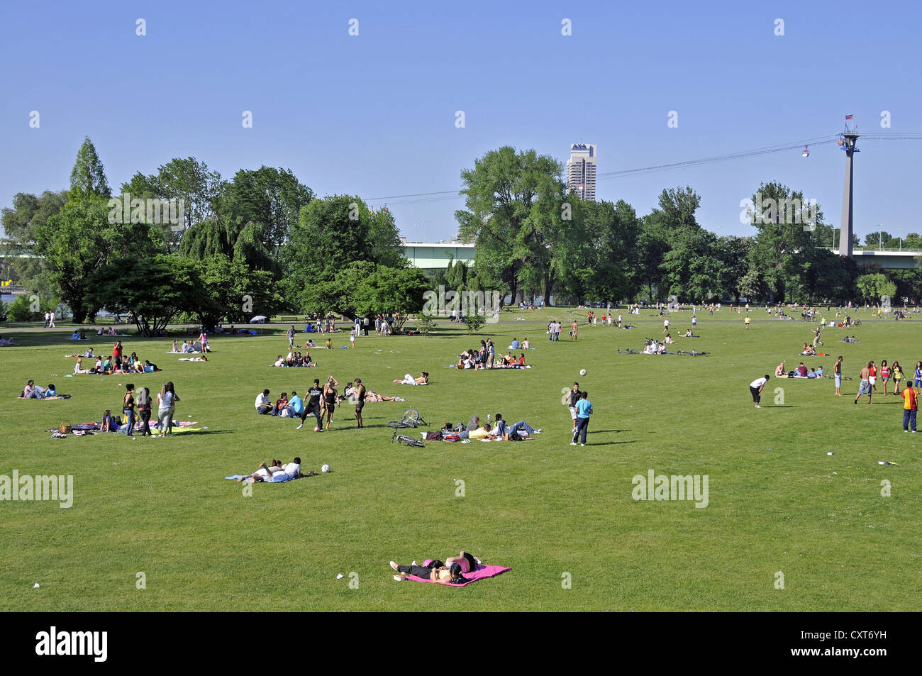 Rheinpark, recreation area on the right bank of the Rhine river ...