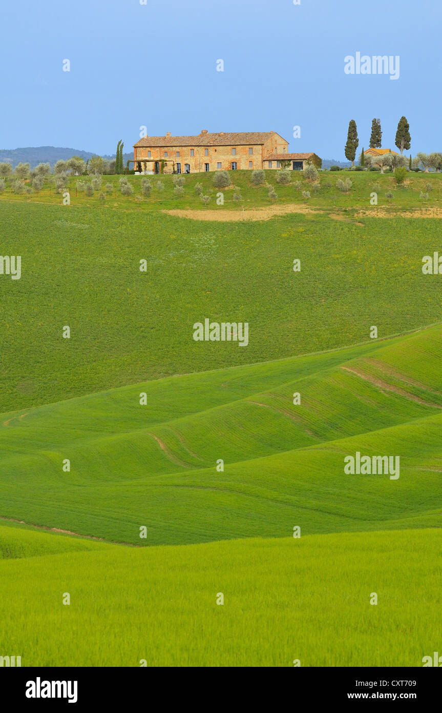 Cypress trees house hi-res stock photography and images - Alamy