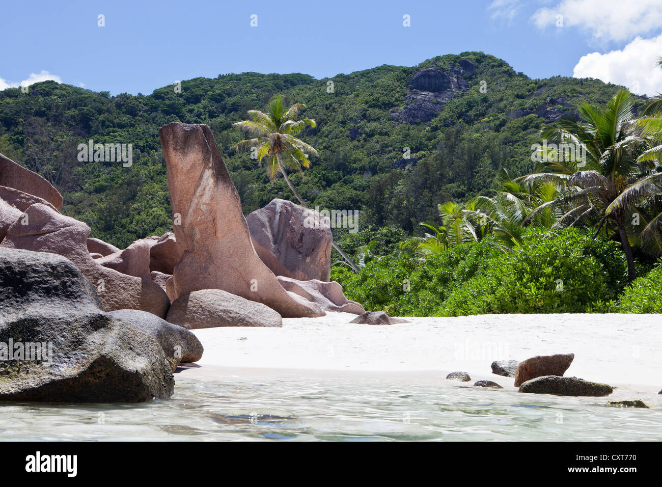 Rock formations coconut tree hi-res stock photography and images - Alamy