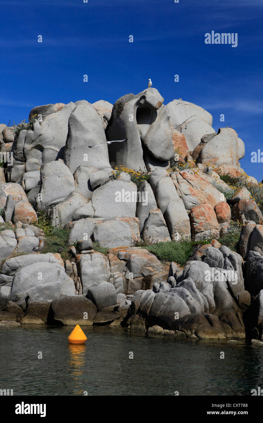 Lavezzi islands hi-res stock photography and images - Alamy