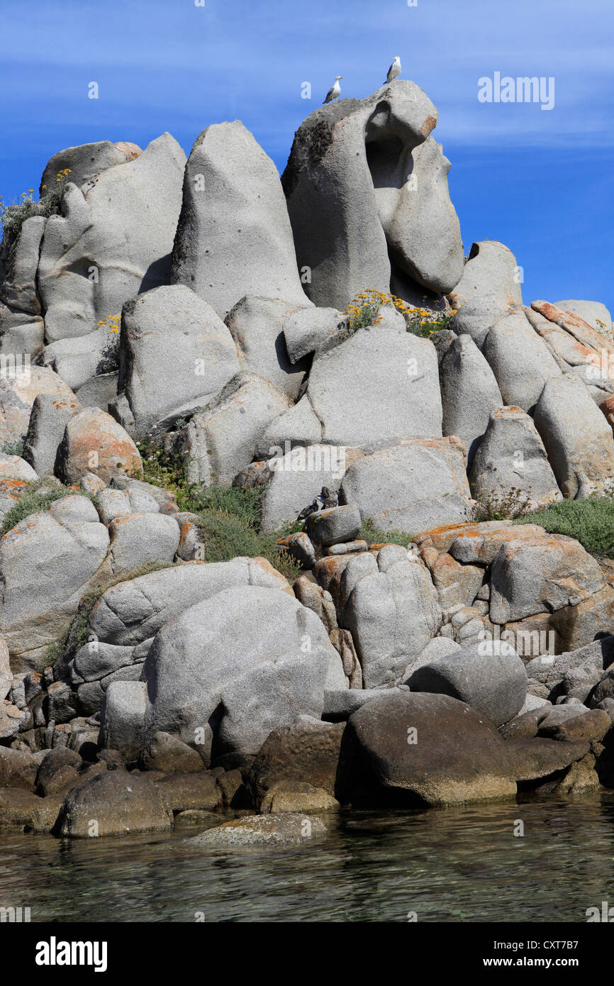 Lavezzi islands hi-res stock photography and images - Alamy