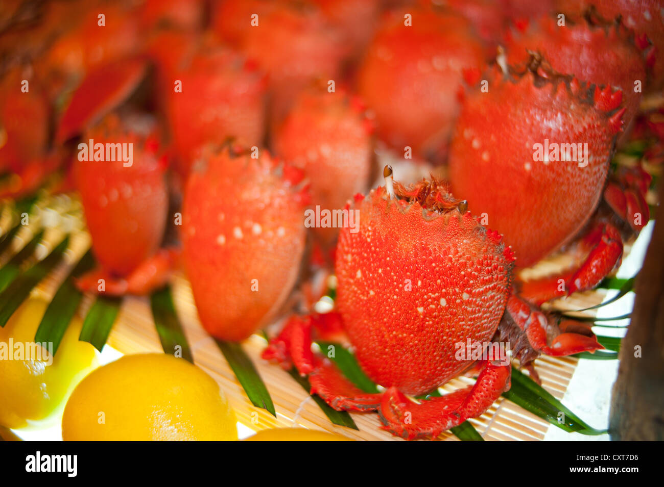 Crabs life hi-res stock photography and images - Alamy