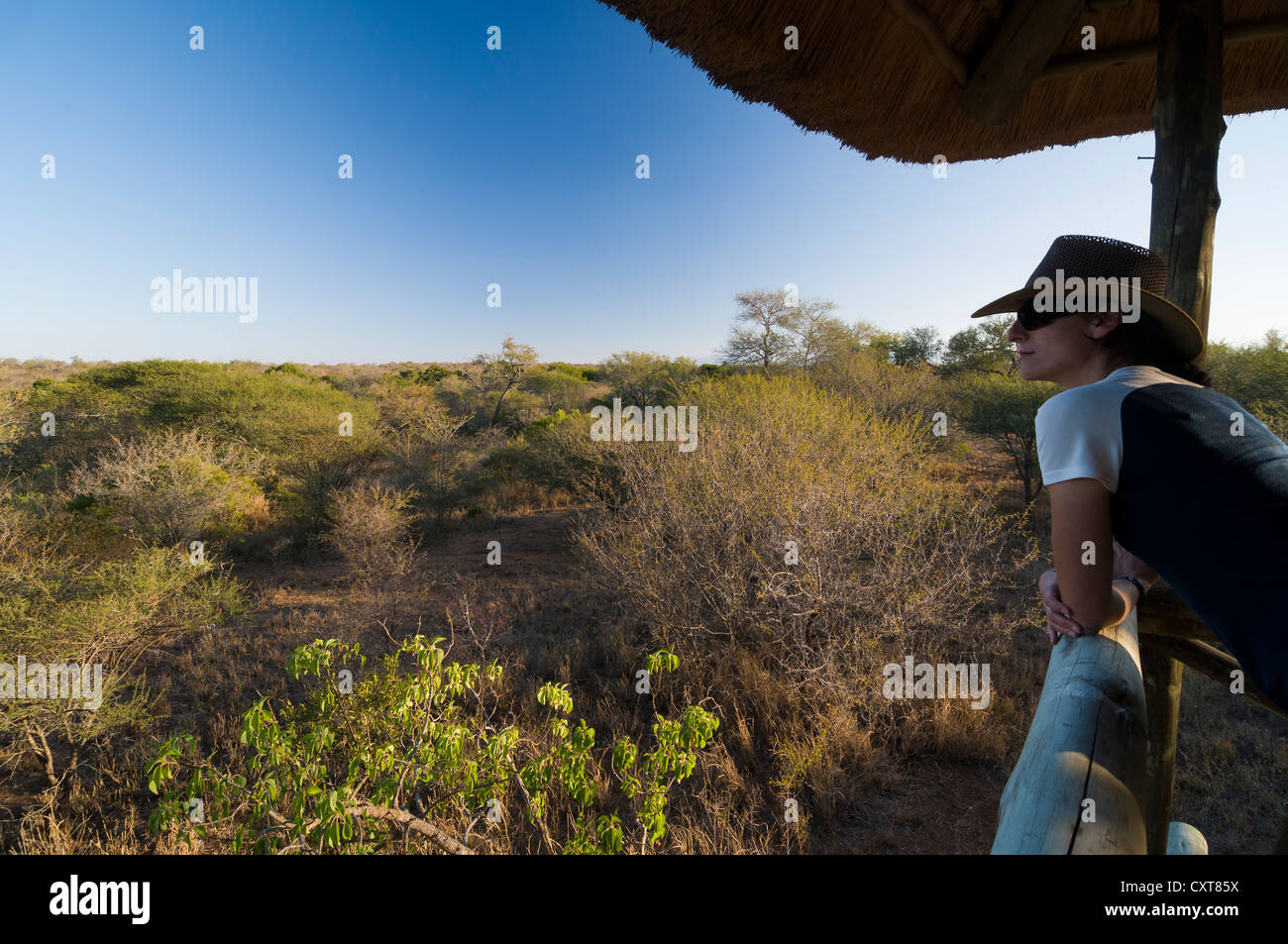 Woman on viewing platform hi-res stock photography and images - Alamy