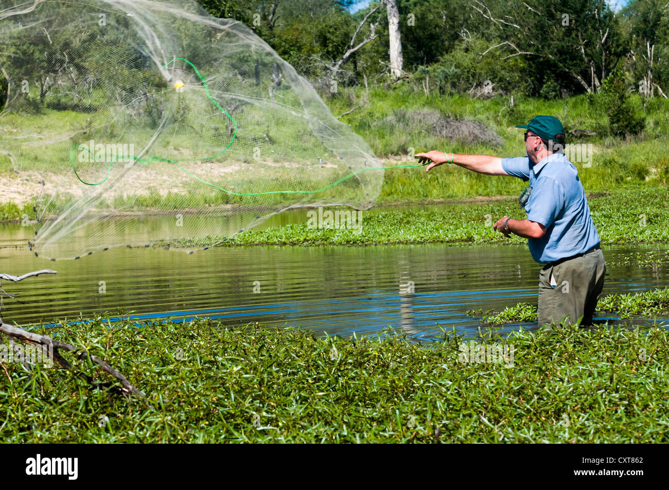 Man standing in a pond throwing a fishing net, Timbavati Nature Reserve ...