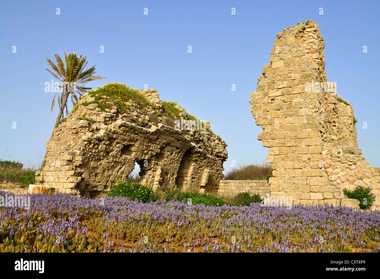 Archaeological excavations, ancient city of Caesarea or Caesarea ...