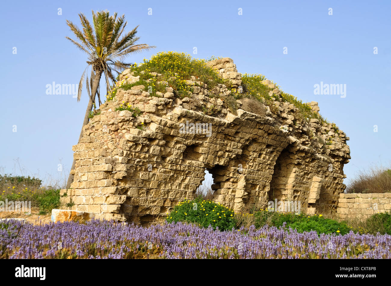 Archaeological excavations, ancient city of Caesarea or Caesarea ...