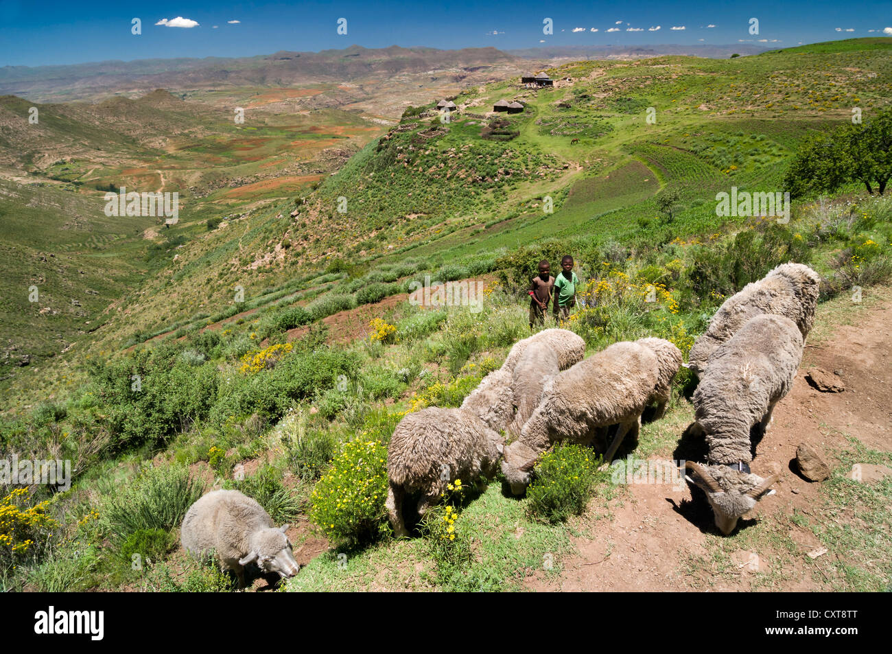 Basotho children hi-res stock photography and images - Alamy