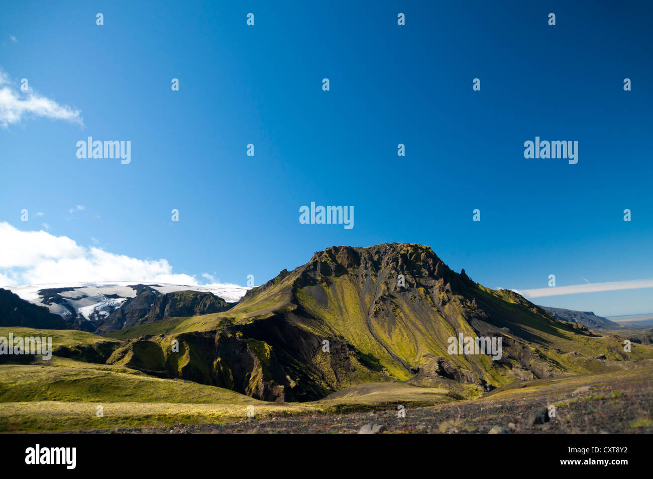 Hiking trail overgrown with moss, path to the Fimmvoerðuháls high plain ...