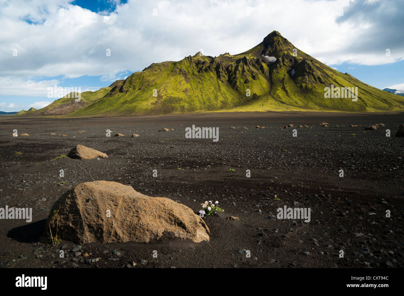 Stones in the Black Lava Desert, with moss-covered mountains along the ...