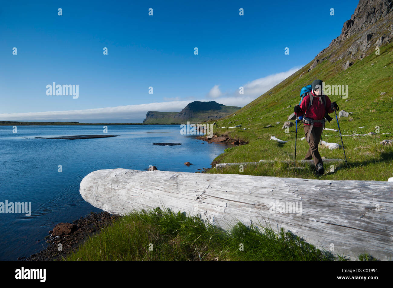 Hiker and driftwood on the hiking trail to the bird cliffs of Hornbjarg ...