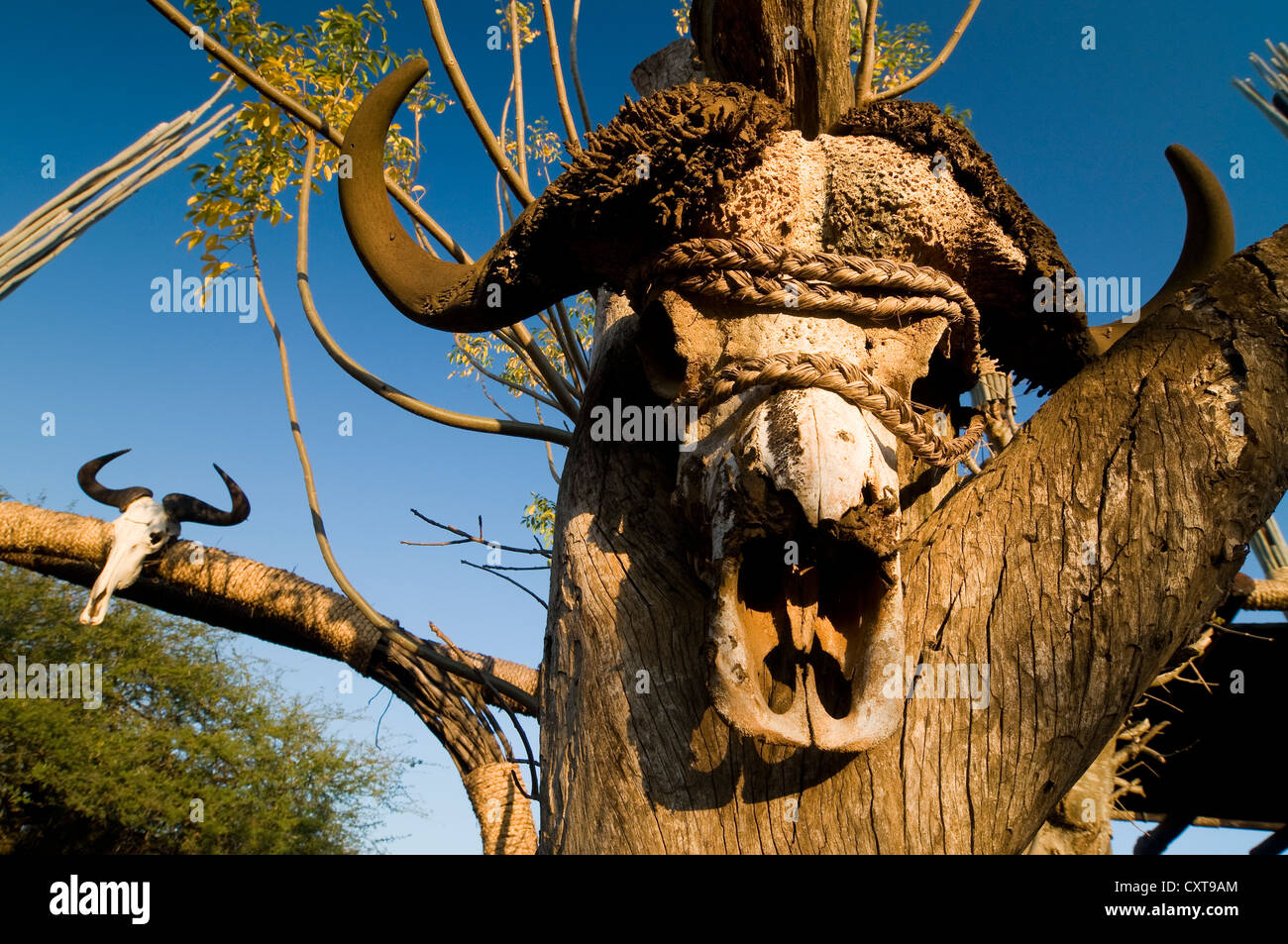 Shakaland hi-res stock photography and images - Alamy