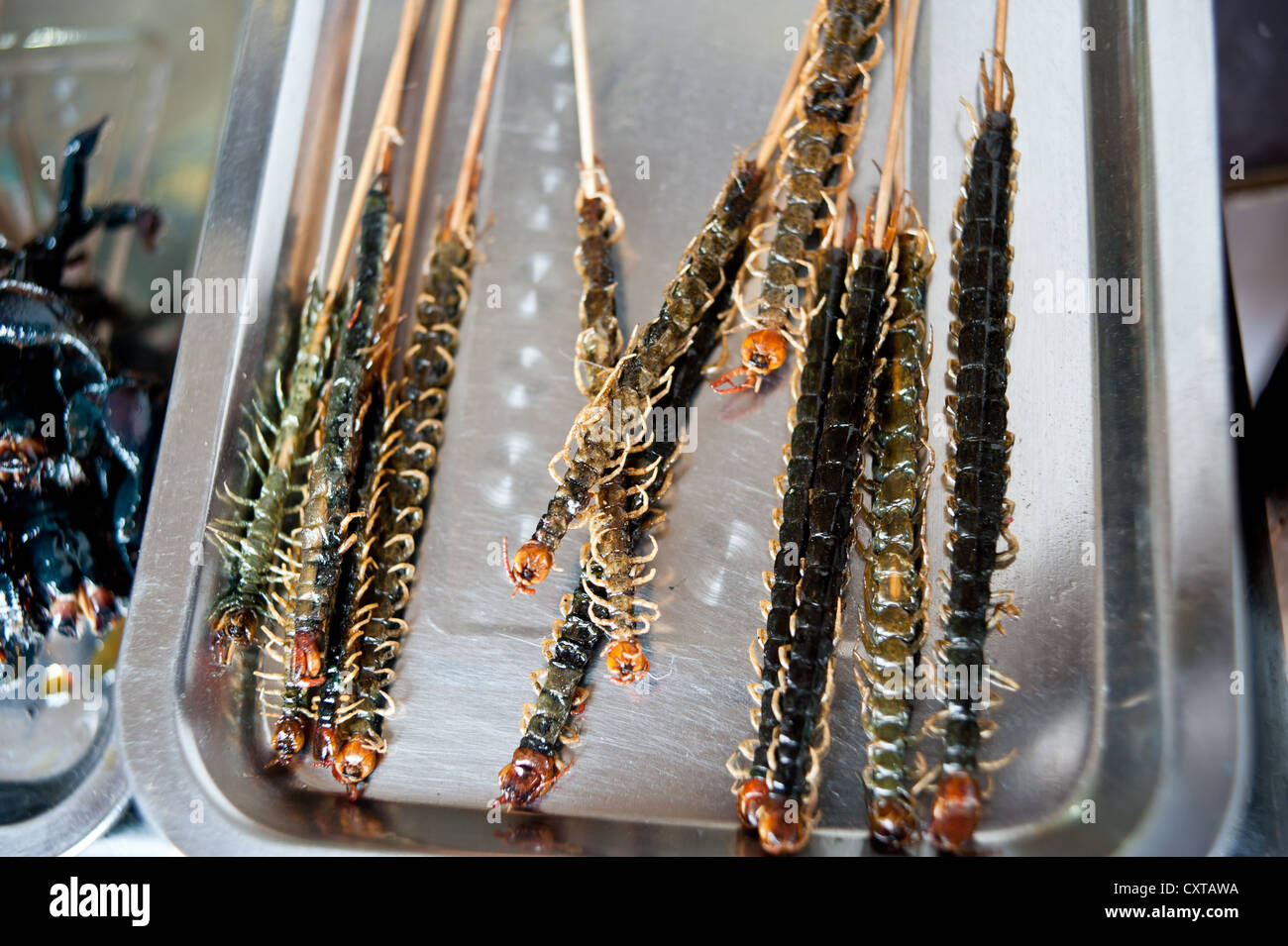Fried insect, China local snacks Stock Photo - Alamy