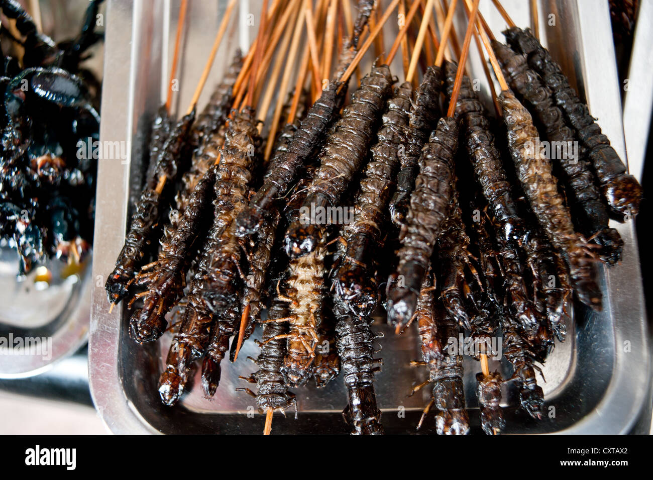 Fried insect, China local snacks Stock Photo - Alamy
