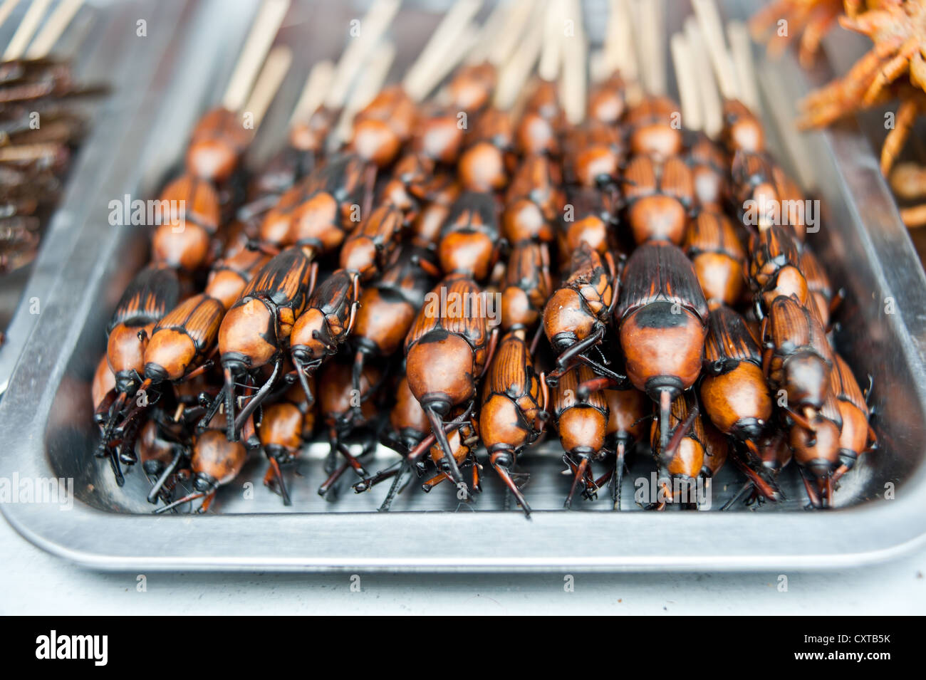 Fried insect, China local snacks Stock Photo - Alamy