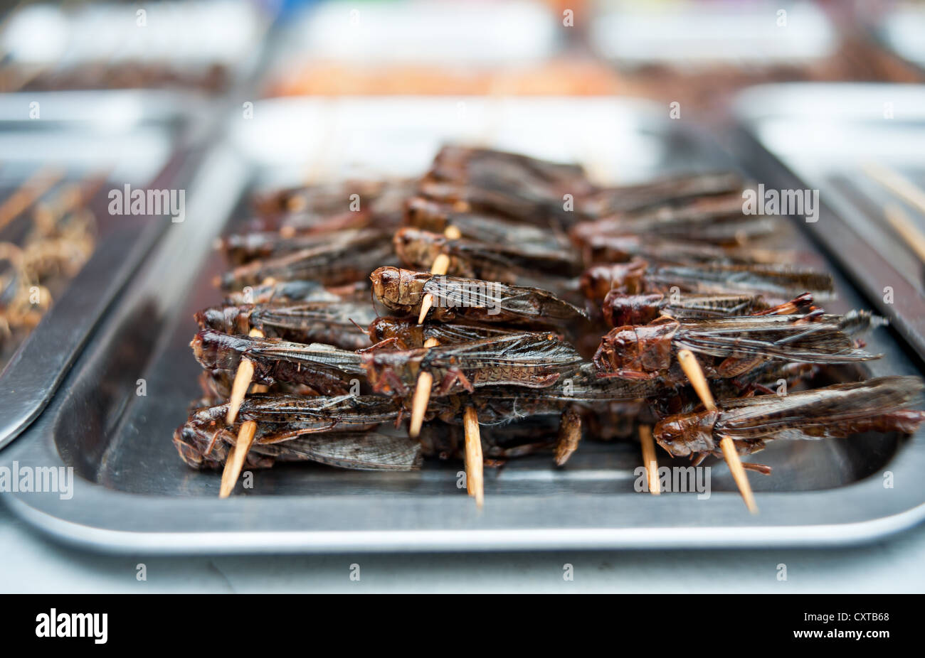 Fried insect, China local snacks Stock Photo - Alamy