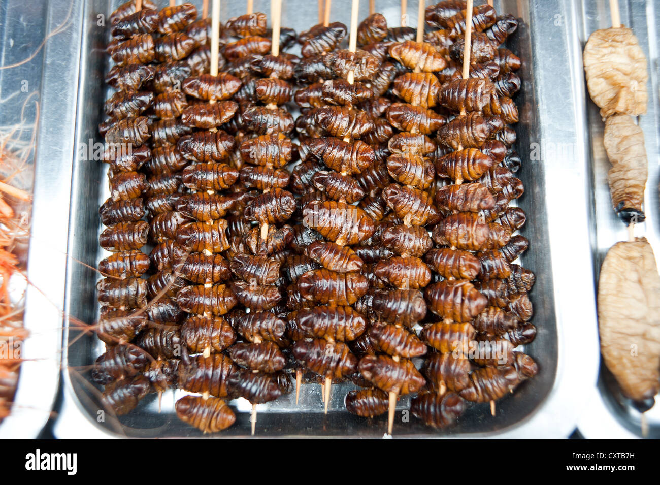 Fried insect, China local snacks Stock Photo - Alamy
