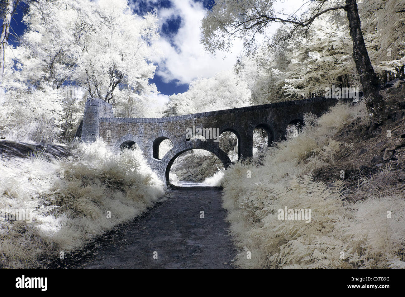 Seven Arch Bridge, Lever Park, Rivington Stock Photo - Alamy