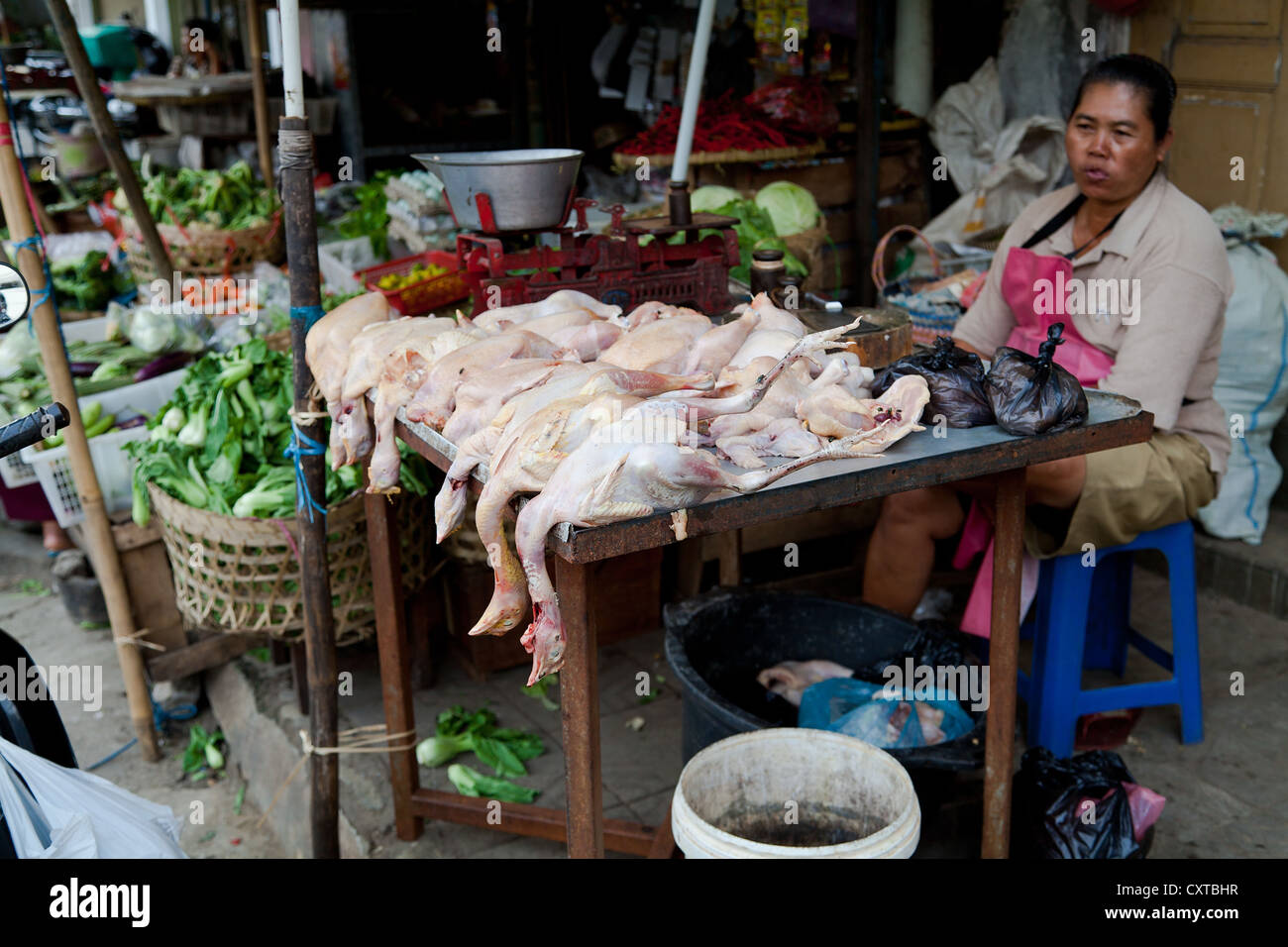 Hen chicken street hi-res stock photography and images - Alamy