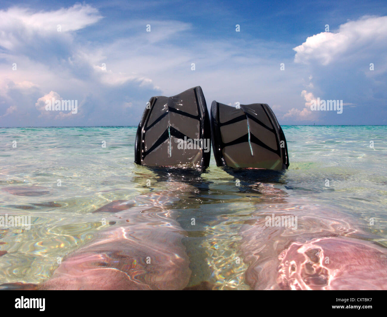 Flippers hi-res stock photography and images - Alamy
