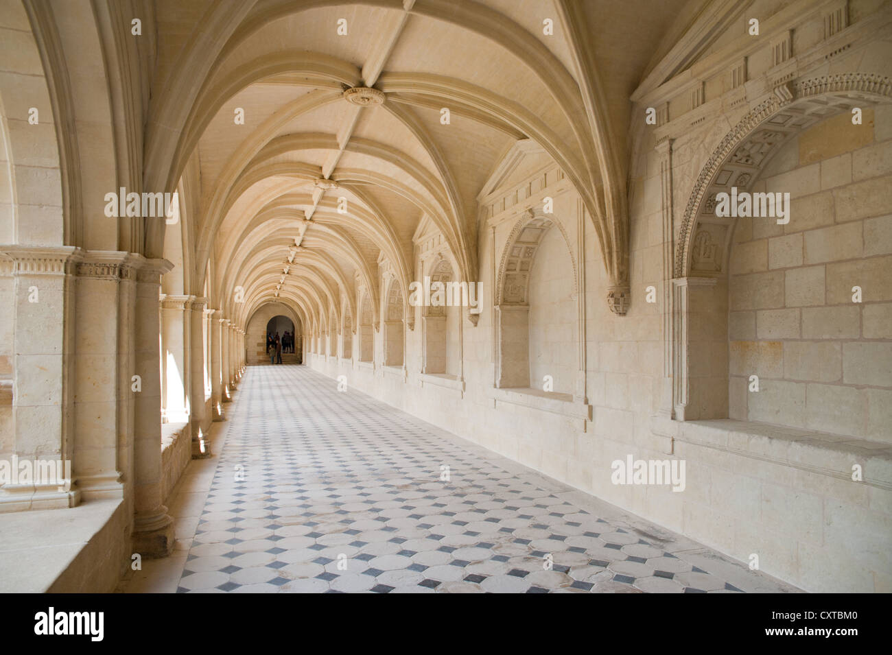 Fontevrault Abbey, France Stock Photo - Alamy