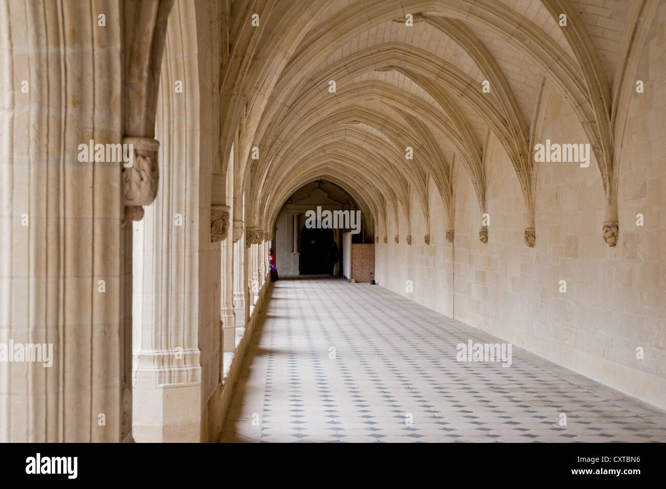 Fontevrault Abbey, France Stock Photo - Alamy